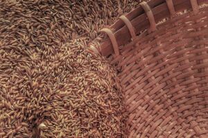 What is sour mash? And what's it doing in my drink? | Whisky-World